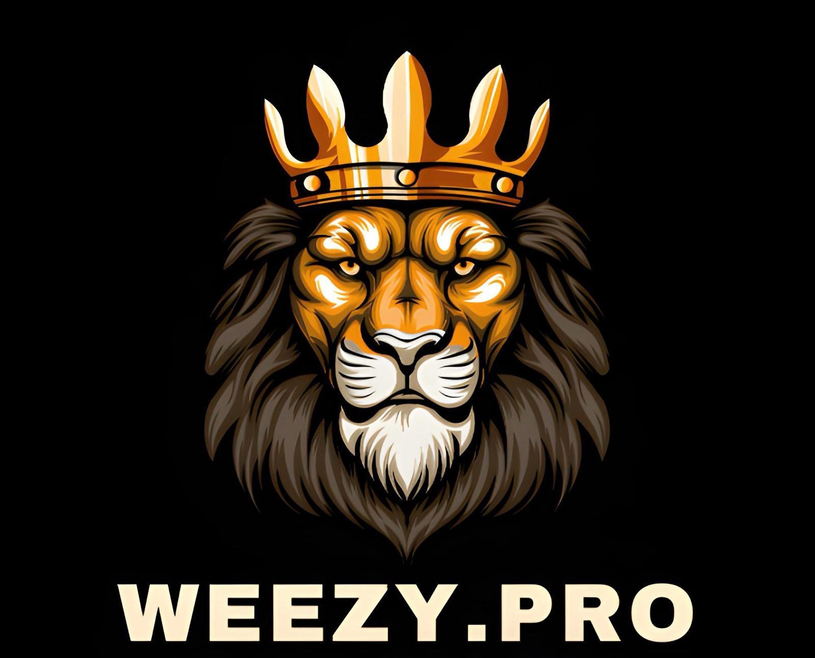 WEEZY FLIX | weezy pro